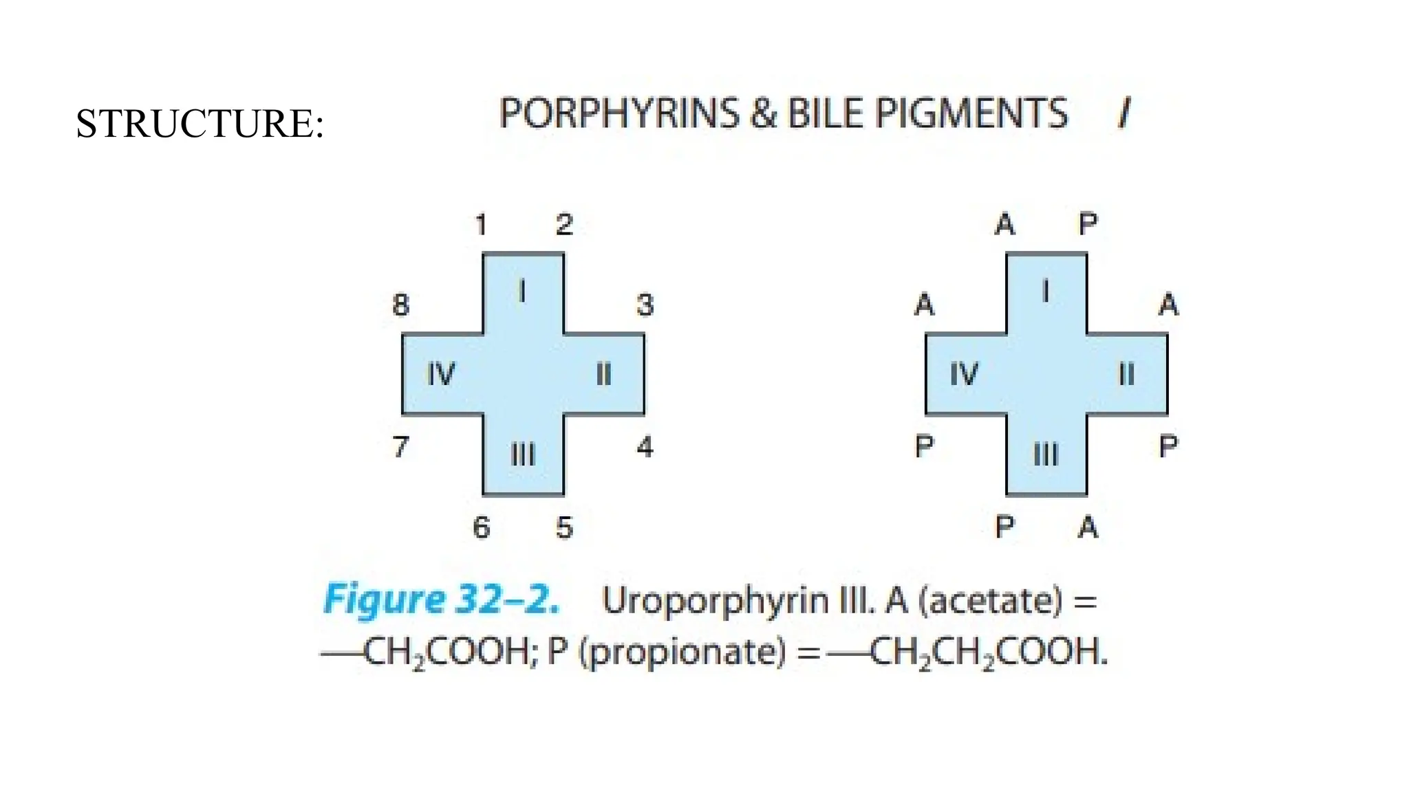 porphyria - Different types, clinical diagnosis | PPTX