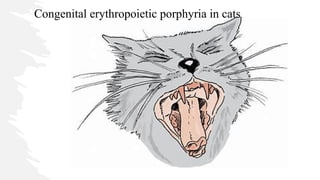 porphyria - Different types, clinical diagnosis | PPTX