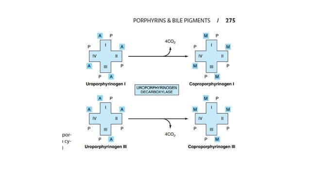 porphyria - Different types, clinical diagnosis | PPT