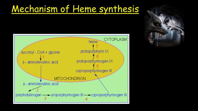 Porphyria - the vampire disease | PPTX