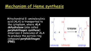Porphyria - the vampire disease | PPTX