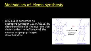 Porphyria - the vampire disease | PPTX