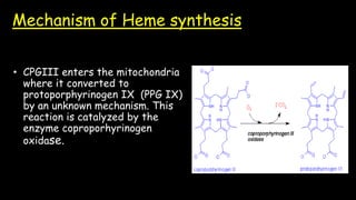 Porphyria - the vampire disease | PPTX