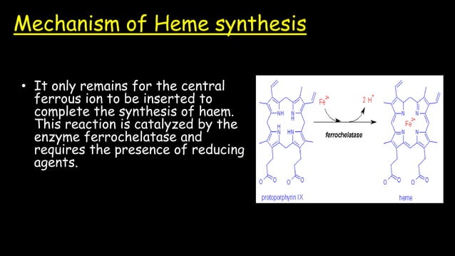 Porphyria - the vampire disease | PPTX