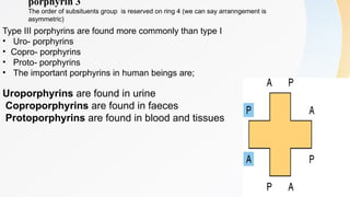 porphyrin is completly explained in presentation | PPTX