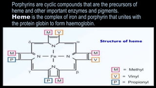 Porphyrin metabolism | PPTX | Chemistry | Science