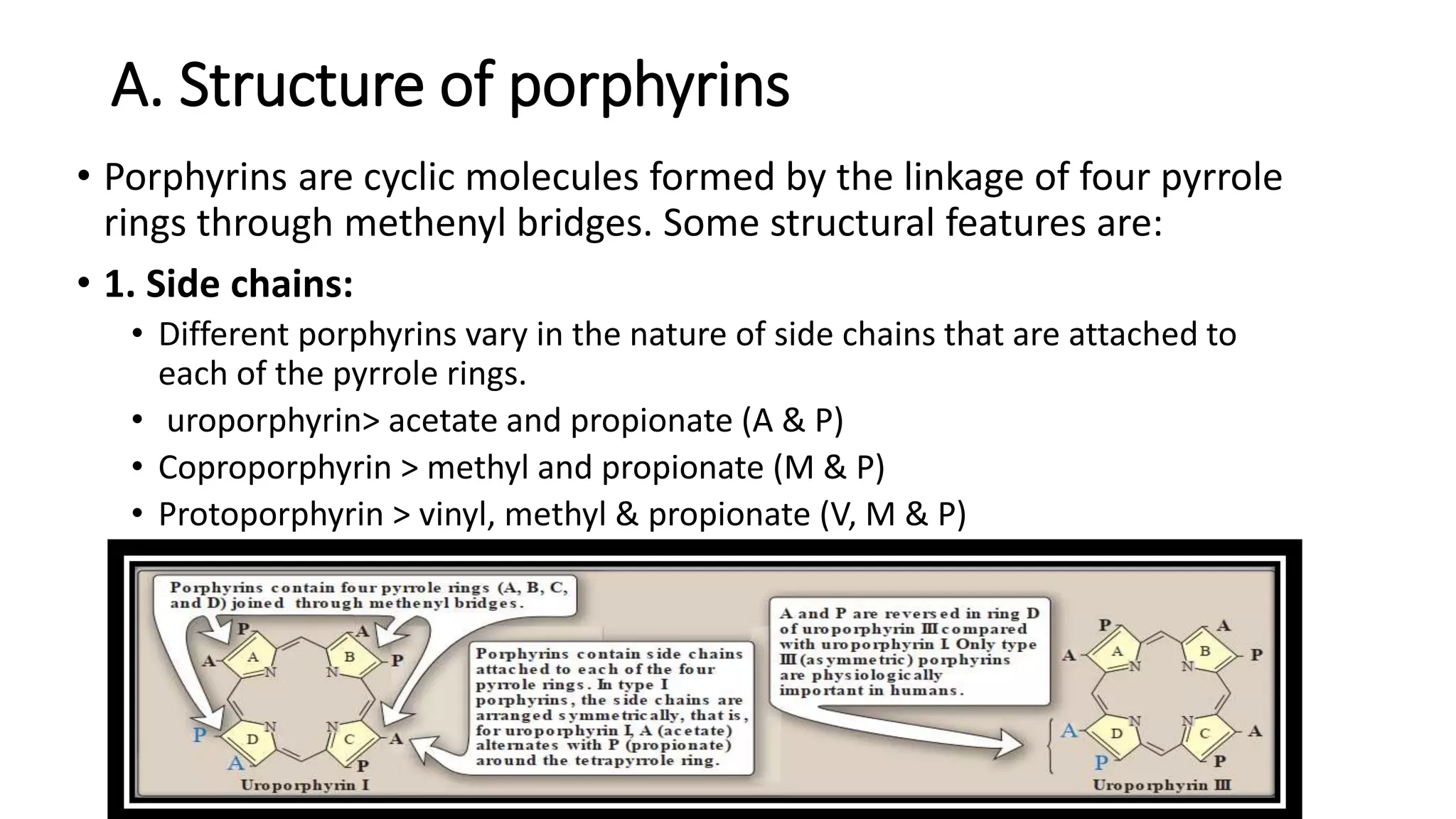 Porphyrin Metabolism | PPTX