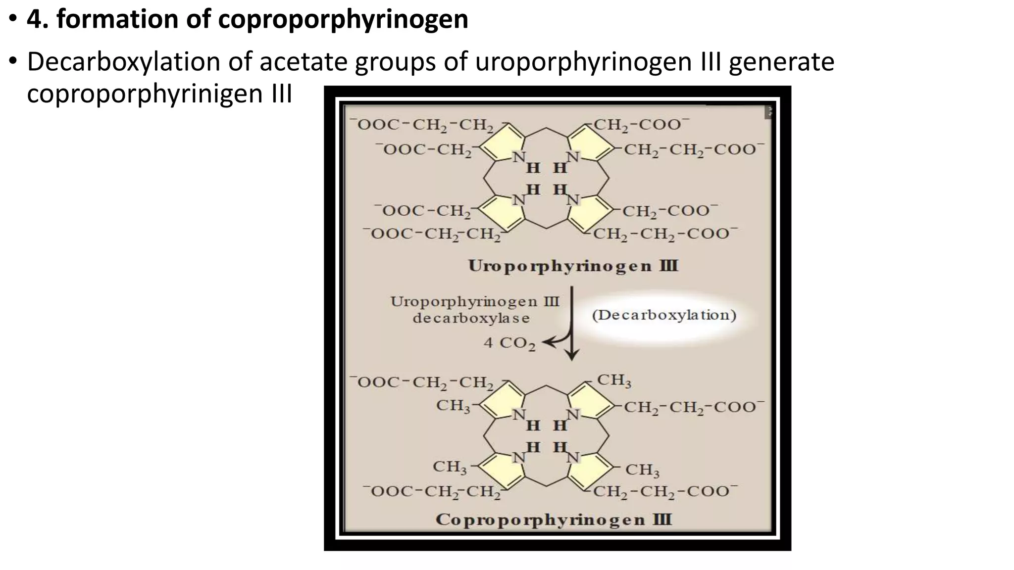 Porphyrin Metabolism | PPTX