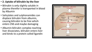 Porphyrin Metabolism | PPTX