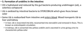 Porphyrin Metabolism | PPTX