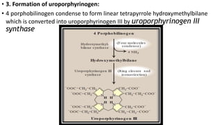 Porphyrin Metabolism | PPTX