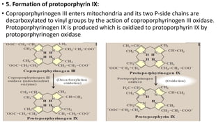 Porphyrin Metabolism | PPTX