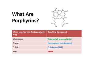 Porphyrins | PDF