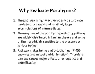 Porphyrins | PDF
