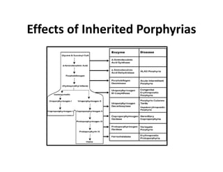 Porphyrins | PDF