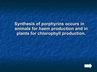 Porphyrins | PPT