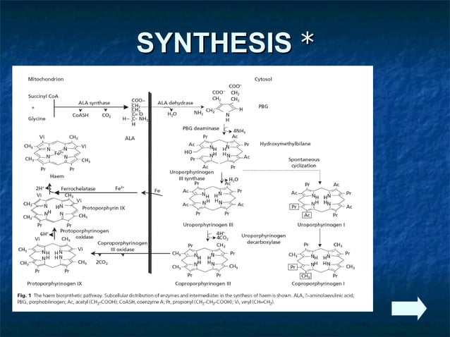 Porphyrins | PPT