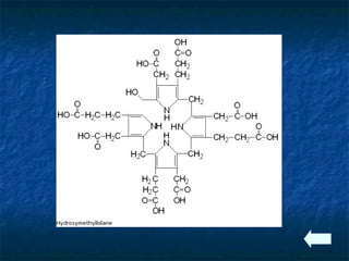 Porphyrins | PPT