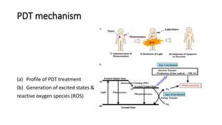 Porphyrins-1.pptxnñmmmmmmmmnnmmmmmmmmmmm | PPTX