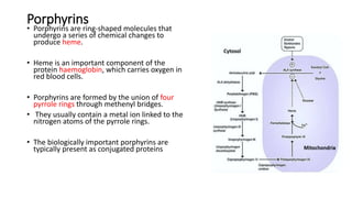 Porphyrins-1.pptxnñmmmmmmmmnnmmmmmmmmmmm | PPTX
