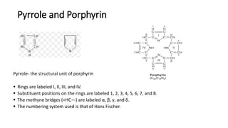 Porphyrins-1.pptxnñmmmmmmmmnnmmmmmmmmmmm | PPTX