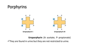 Porphyrins-1.pptxnñmmmmmmmmnnmmmmmmmmmmm | PPT