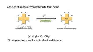 Porphyrins-1.pptxnñmmmmmmmmnnmmmmmmmmmmm | PPTX