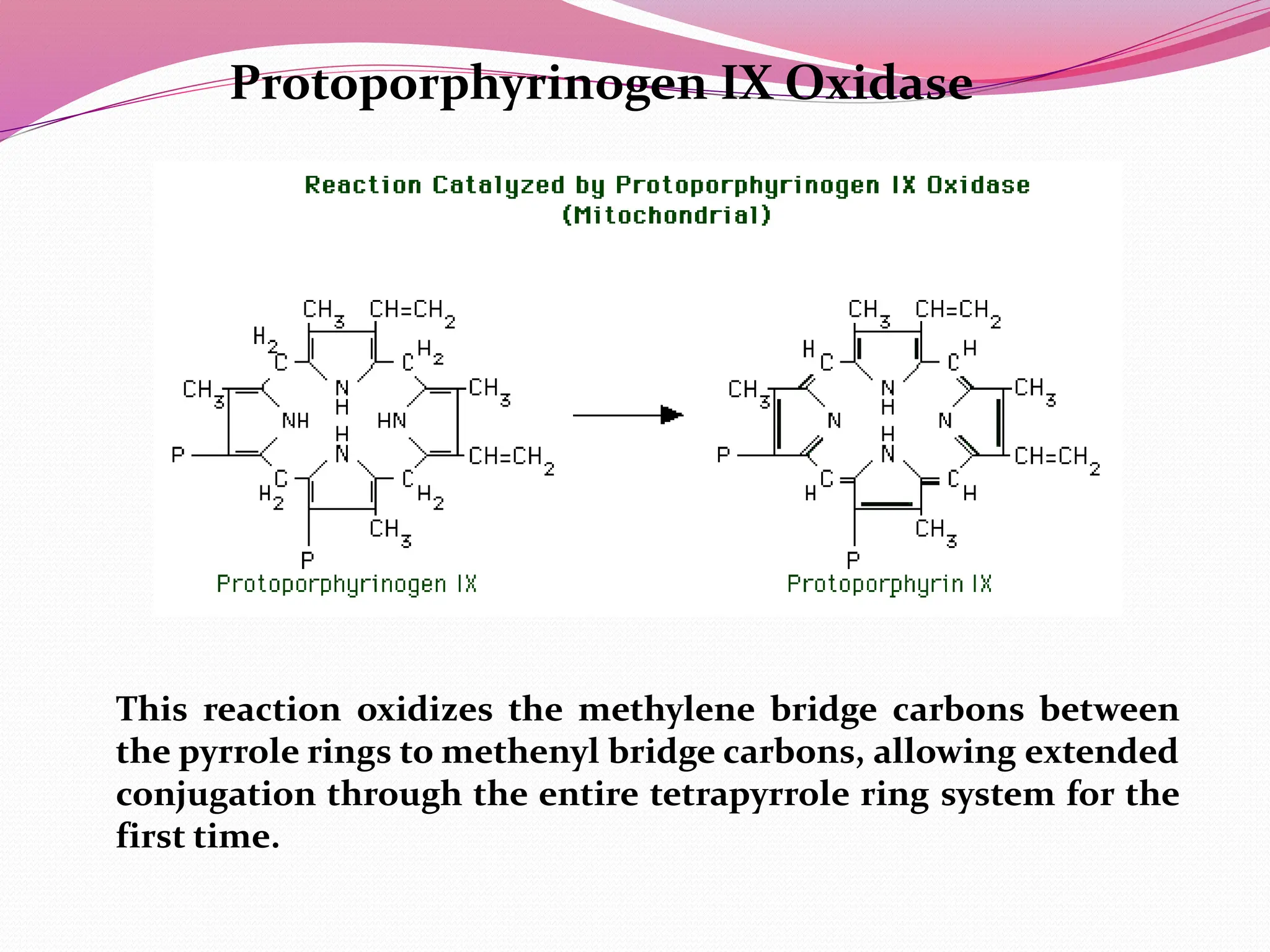 Porphyrins (2).pptx Definition and types | PPTX
