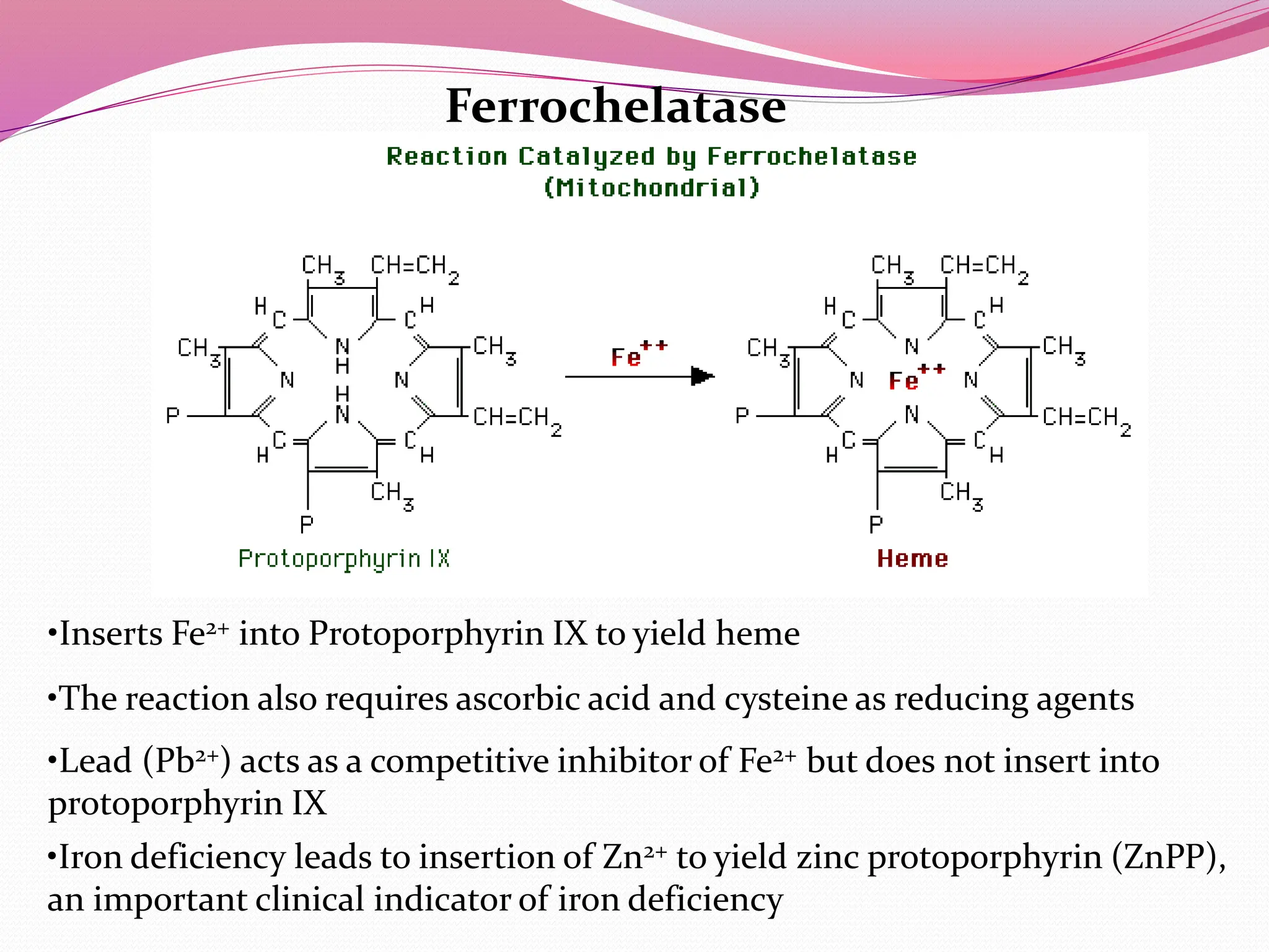 Porphyrins (2).pptx Definition and types | PPTX