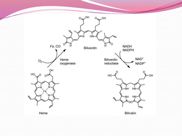 Porphyrins (2).pptx Definition and types | PPTX | Blood Disorders ...