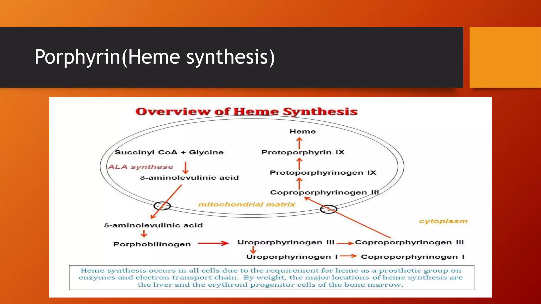 porphyrins chemistry and metabolism.pptx