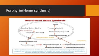 porphyrins chemistry and metabolism.pptx