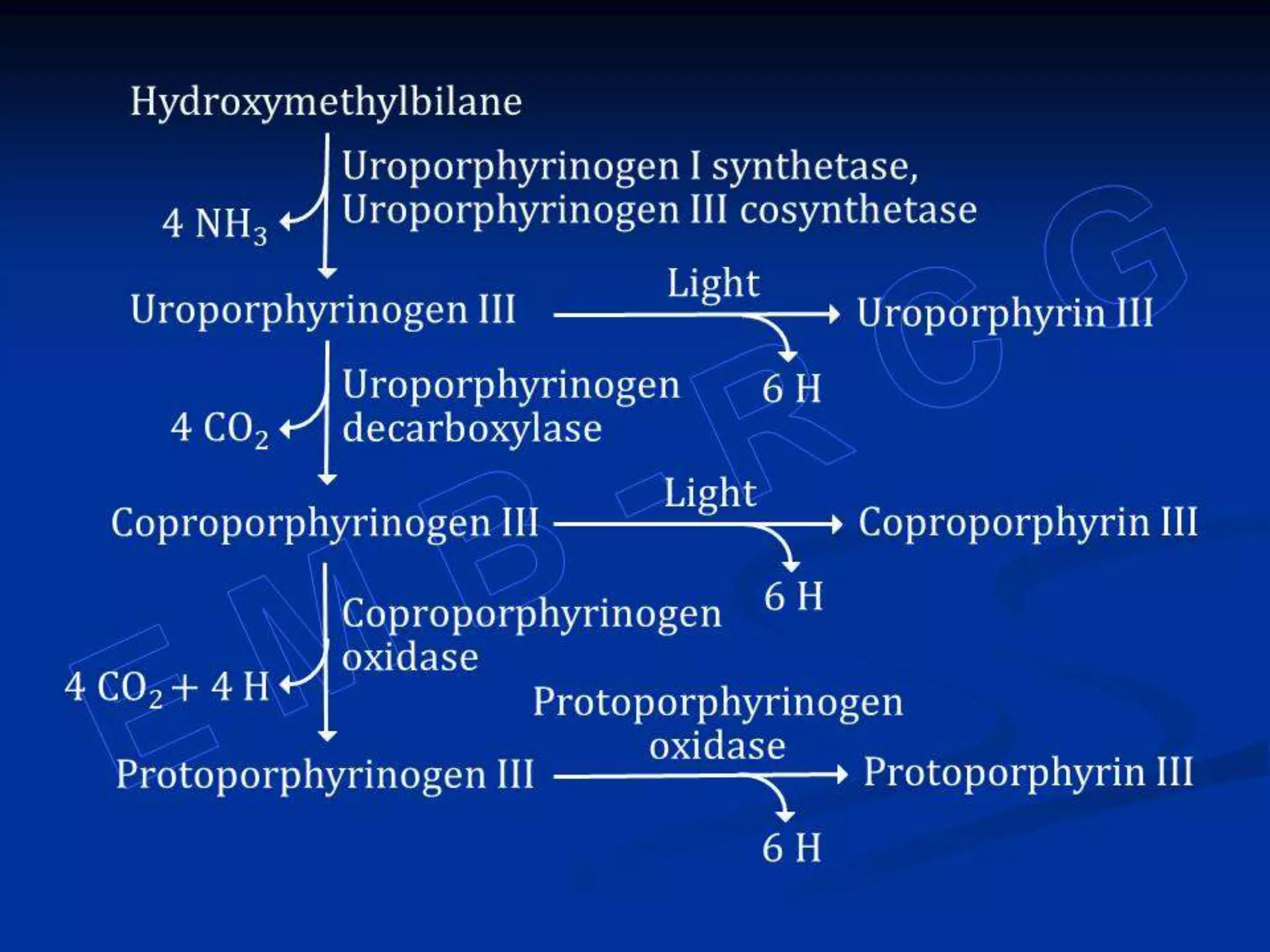 Porphyrins, haemoglobin and bilirubin | PPTX