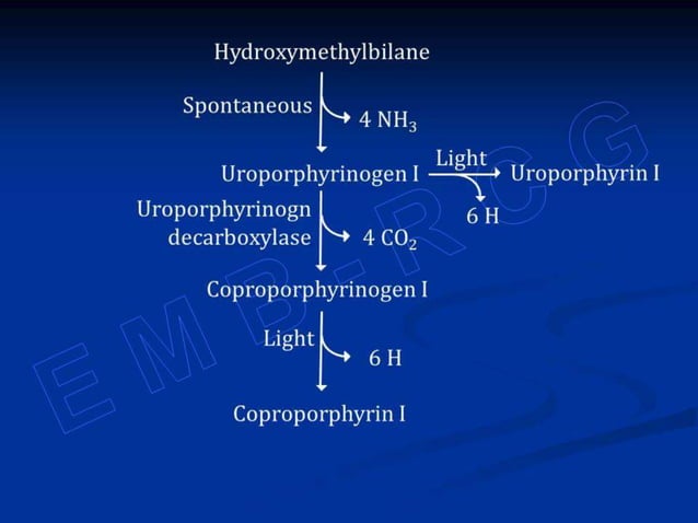 Porphyrins, haemoglobin and bilirubin | PPTX | Genetics | Science