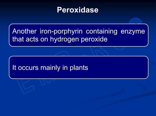 Porphyrins, haemoglobin and bilirubin | PPTX | Genetics | Science