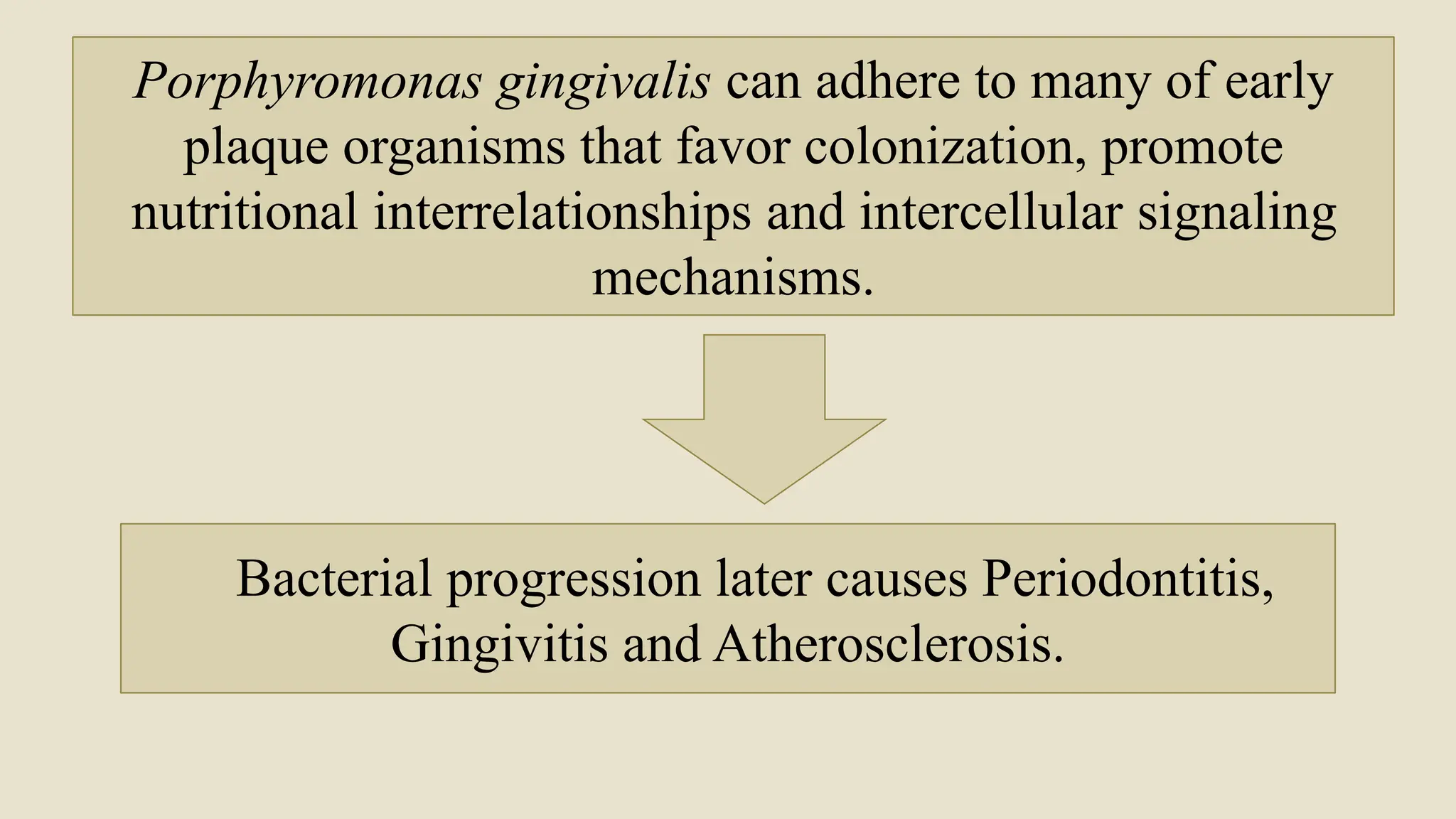 Porphyromonas gingivalis (CHARACTERISTICS, TRANSMISSION, PATHOGENESIS ...