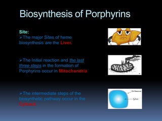 Porpyhrin presentation | PDF