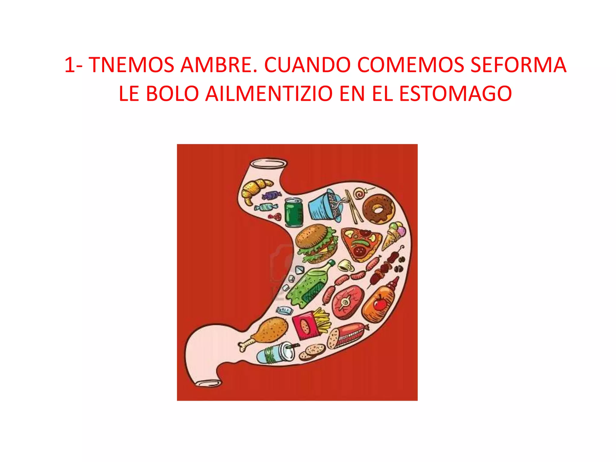 Por qué hacemos caca | PPT