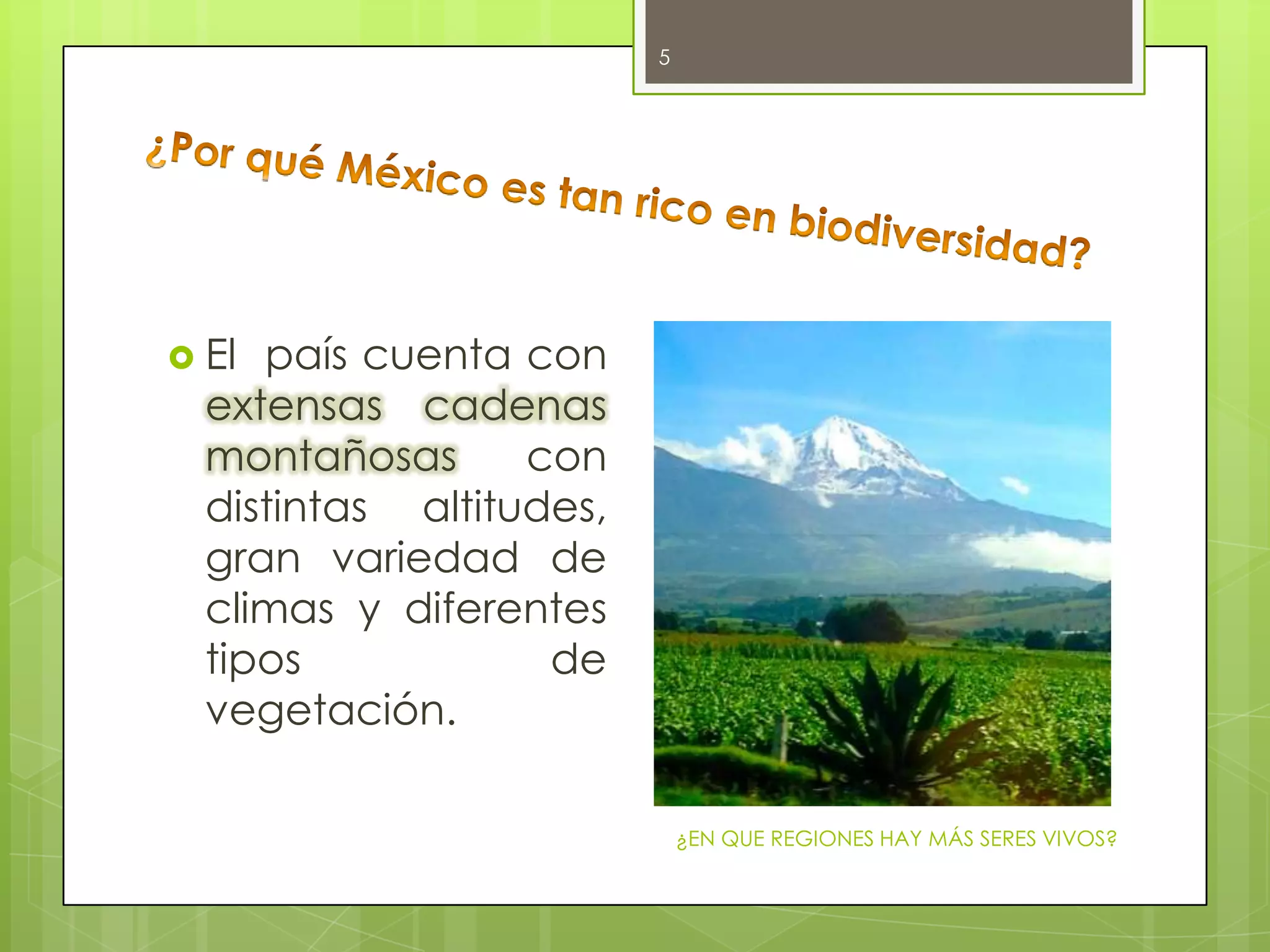 Porqué méxico es tan rico en biodiversidad | PPT