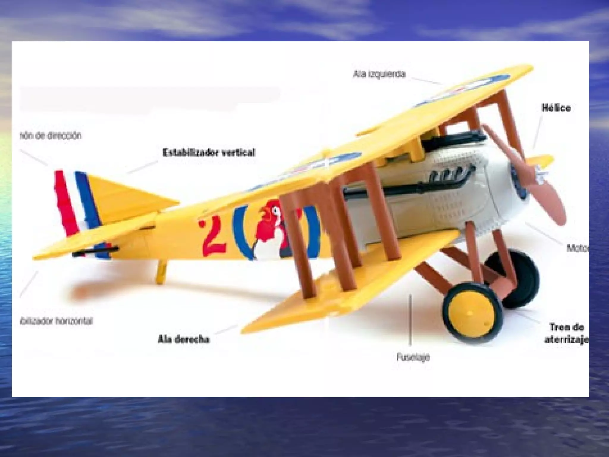 Principio De Bernoulli: ¿Por Qué Vuelan Los Aviones? – CUDAE