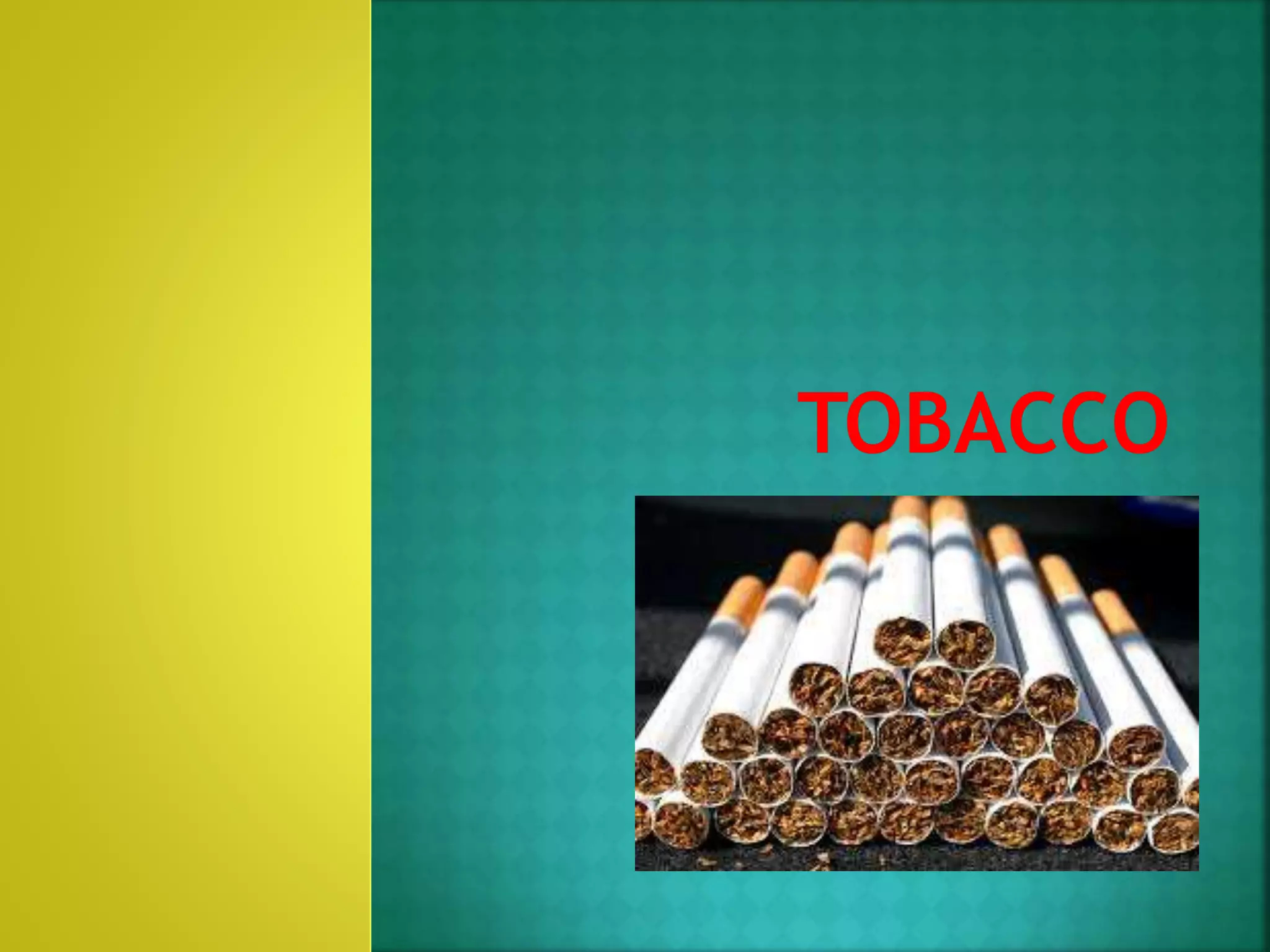 TOBACCO | PPTX