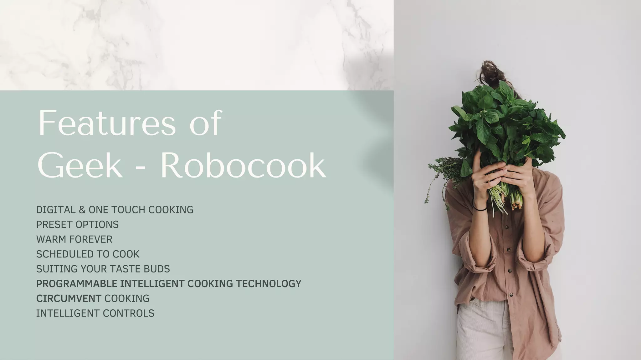 Portable electric cooker | PPT