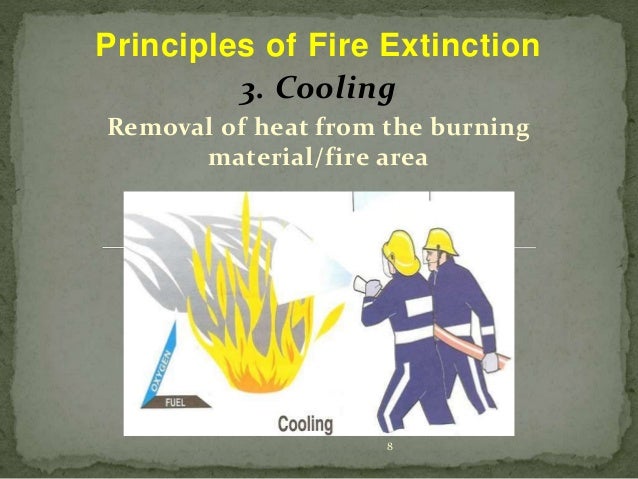 Portable fire extinguisher