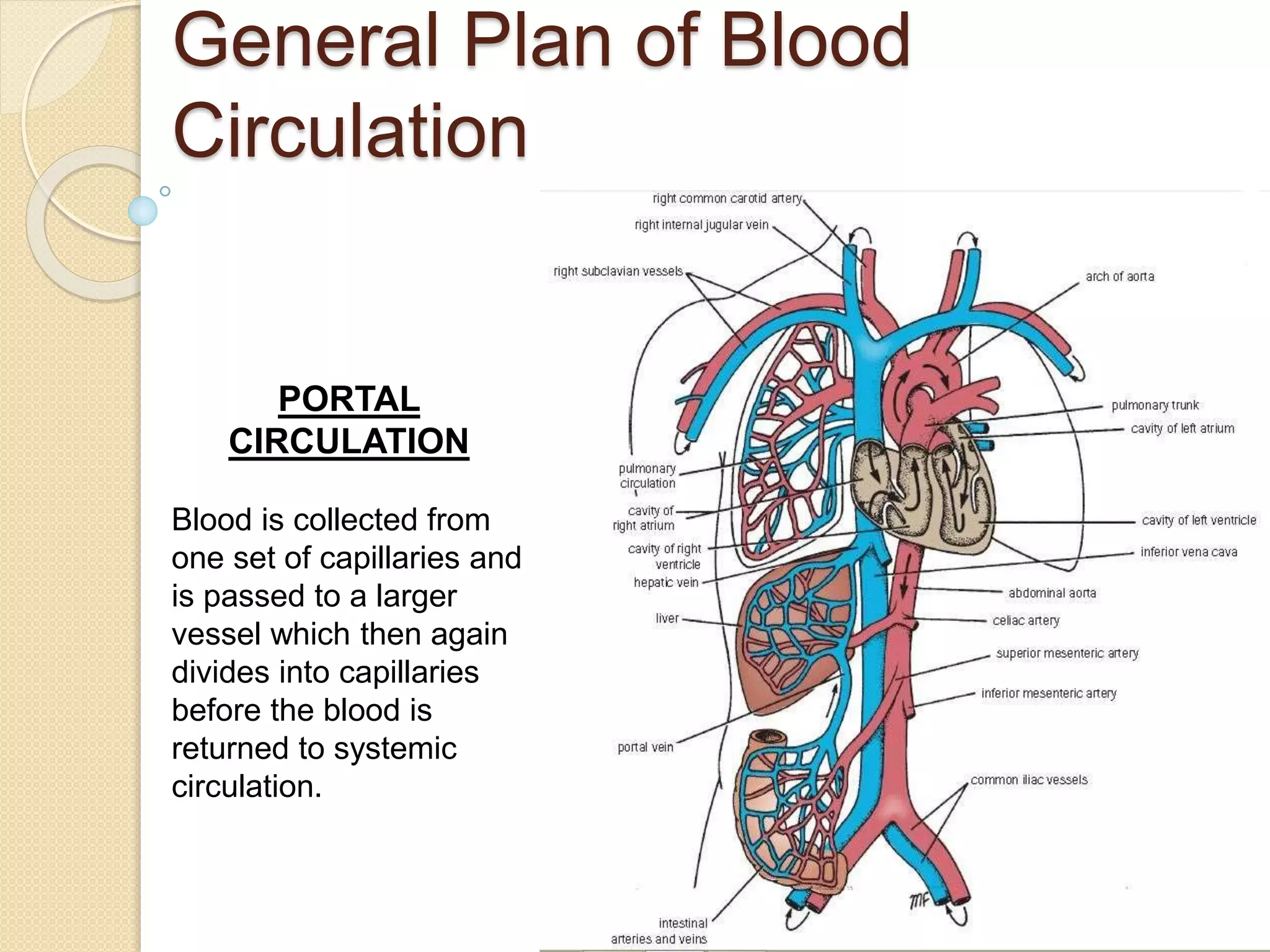 portacaval anastomosis | PPTX