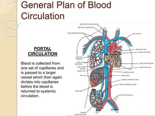 portacaval anastomosis | PPTX