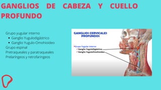GANGLIOS Y AMIGDALAS | PDF