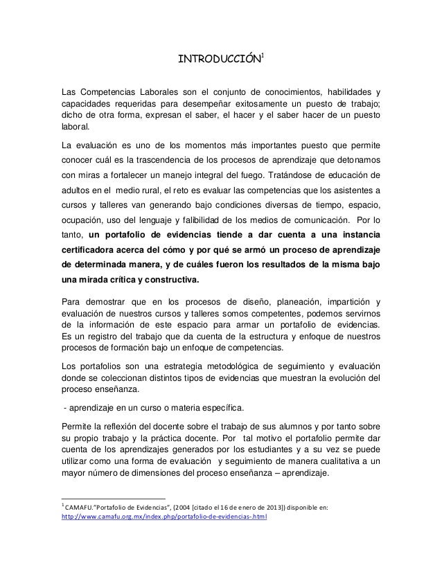 Ejemplo De Introduccion Para Un Portafolio De Evidencias