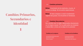 Desarrollo Humano: pubertad.adolescencia | PDF