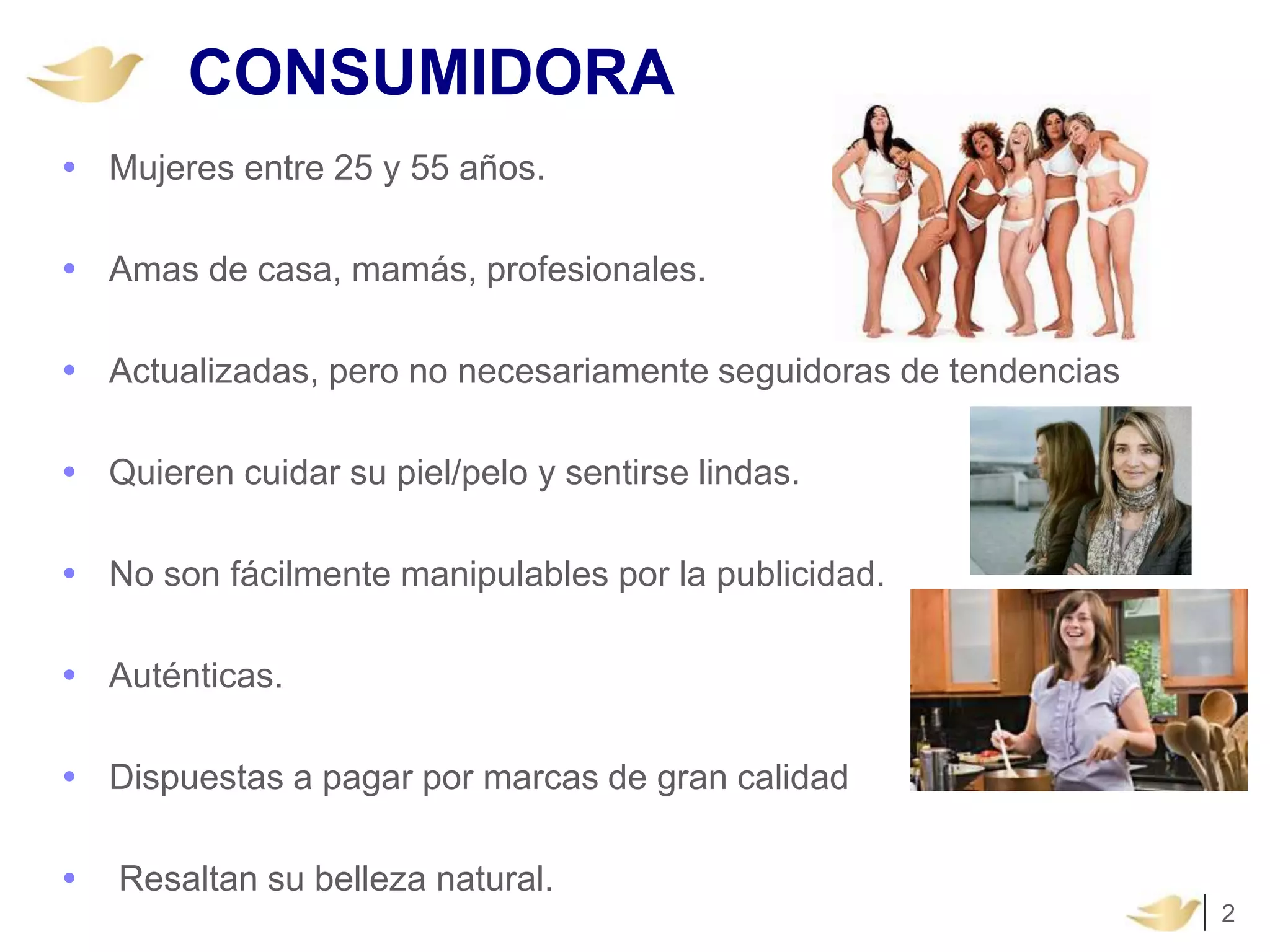 que productos debes usar y como los debes usar? | PPT