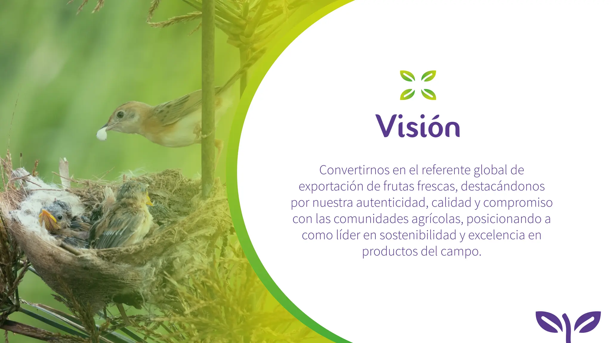 Portafolio Sumak Español frutas del municipio de Sutamarchan | PDF